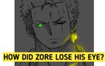 How Did Zoro Lose His Eye? » Anime Harsh